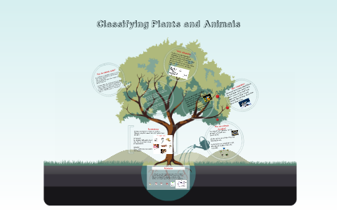 Classifying Plants and Animals by on Prezi