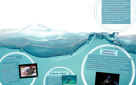 PEZ GOTA by Nicole Fernandez on Prezi