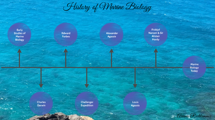 History of Marine Biology by Ariana Rechkemmer on Prezi