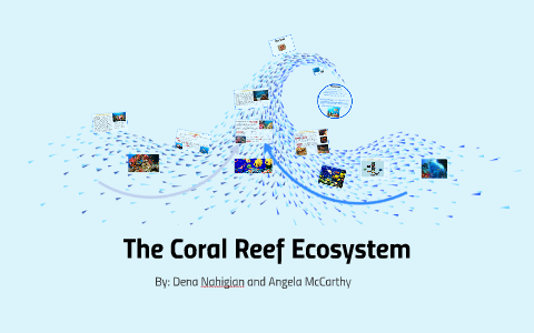 Coral Reef Ecosystem by Dena Nahigian on Prezi