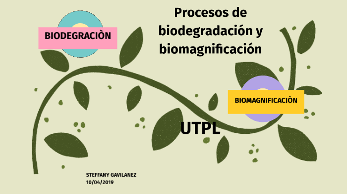 Procesos de biodegradación y biomagnificación by Steffany Gavilanez on ...