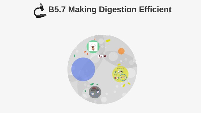 B5.7 Making Digestion Efficient by on Prezi