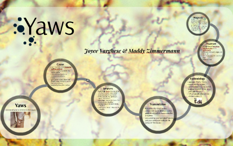 Yaws Disease by Maddy Zimmermann on Prezi