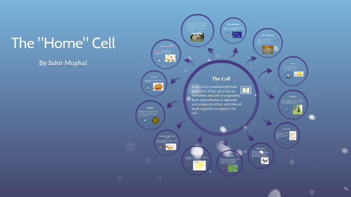 The "Home" Cell by Sahir Mughal