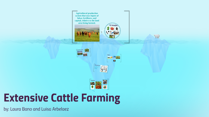 extensive cattle farming by Laura Bano on Prezi
