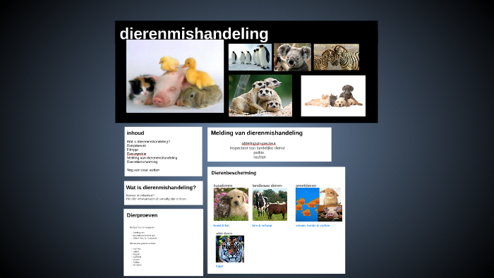 dierenmishandeling by Isa Verhoeven on Prezi