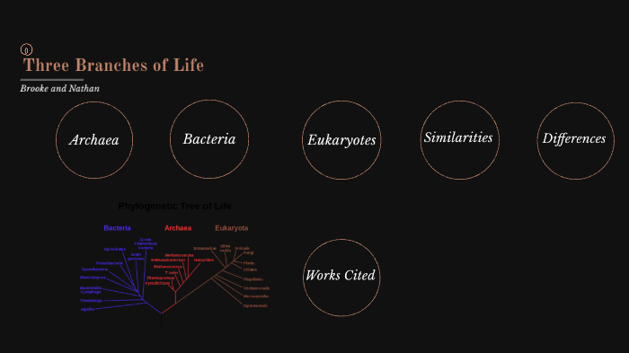3 branches of life by brooke Barsella on Prezi