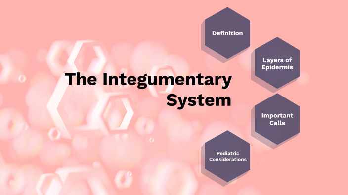 Overview: Integumentary System by Kira Parkin on Prezi