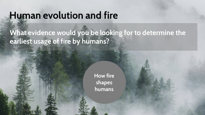 Human evolution and fire by Luan Roberts on Prezi