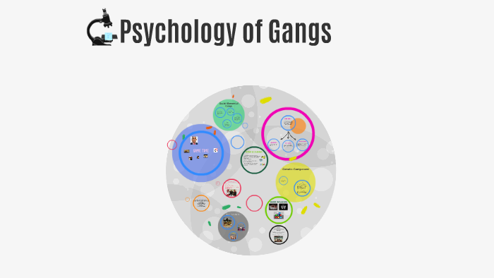 Psychology of Gangs by Sinead R on Prezi