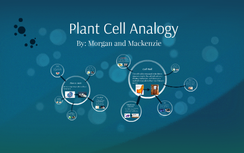 Plant Cell Analogy by morgan gustafson on Prezi