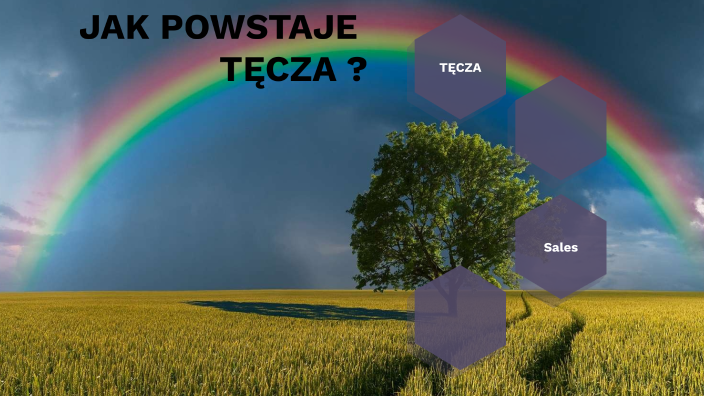tecza by daria ryczko on Prezi