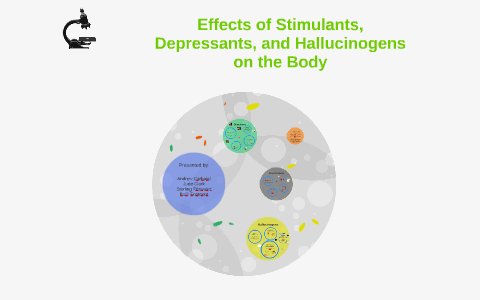 Affect of Stimulants, Depressants, and Hallucinogens on the by Bailli ...