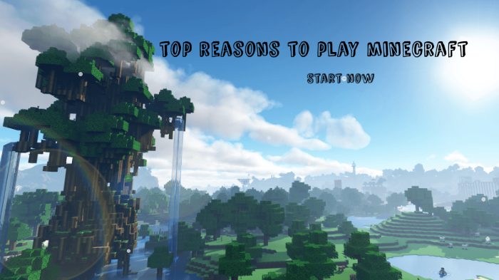5 reasons to play minecraft by Young Midorya