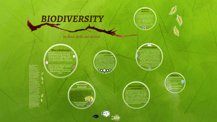 BIODIVERSITY by bella leddy
