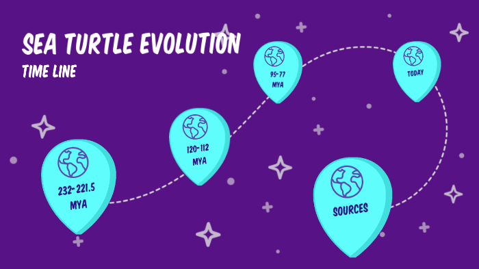 Sea Turtle Evolution by Connor Moroney on Prezi