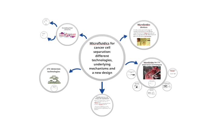 Microfluidics in cancer cell separation by Nour Ahmad on Prezi