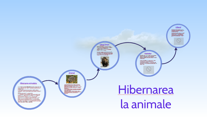Viața activă si hibernarea by Dragos Chirtoaca on Prezi
