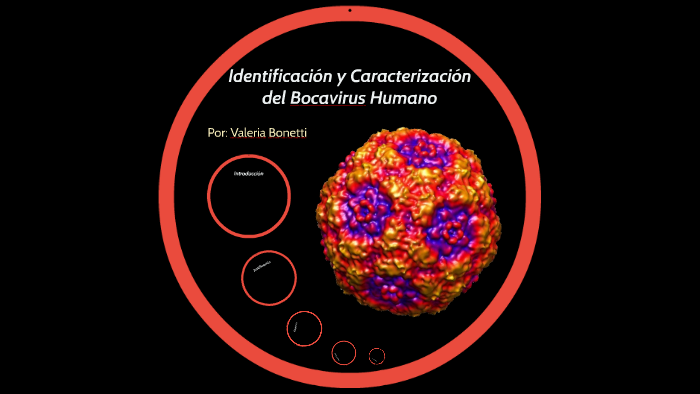 Identificación y caracterización del Bocavirus Humano by Valeria ...