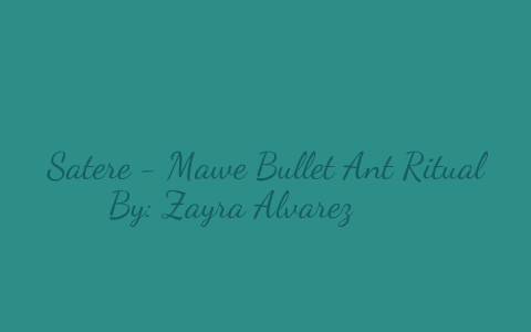 Satere-Mawe: Bullet Ant Glove Ritual by zayra alvarez on Prezi