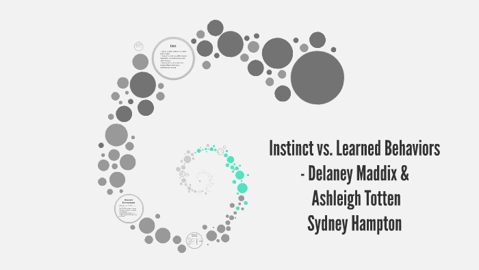 Instinct vs. Learned Behaviors by delaney maddix on Prezi