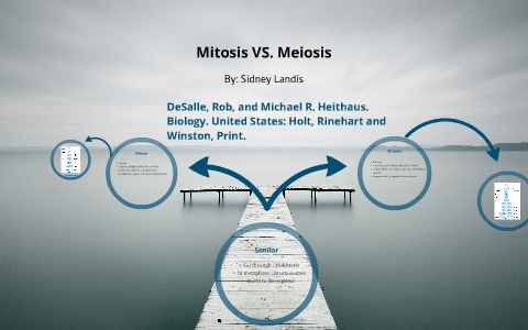 Mitosis VS. Meiosis (Sidney) by Sidney Landis on Prezi