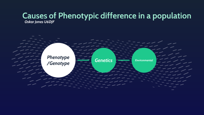 Causes of Phenotypic Differences by Oskar J on Prezi