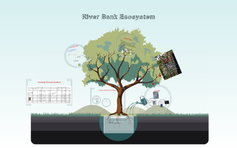River Bank ecosystem by James Lazevnick on Prezi