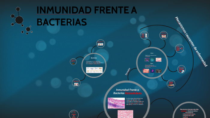 Inmunidad frente a Bacterias by Miguel Duran Patiño on Prezi