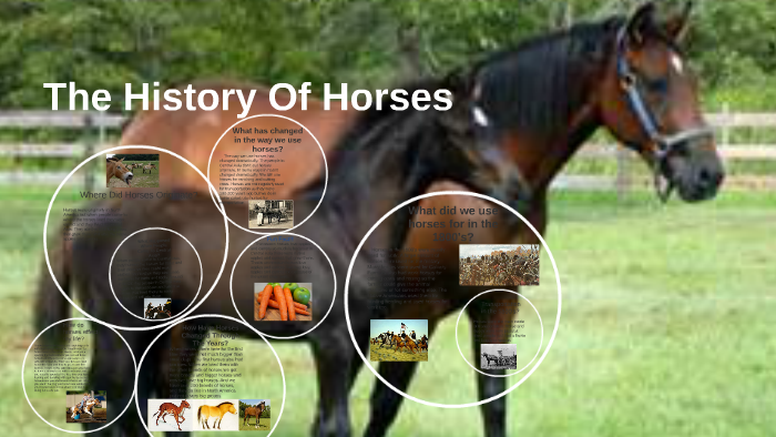 The History Of Horses by Trinity Burruss on Prezi
