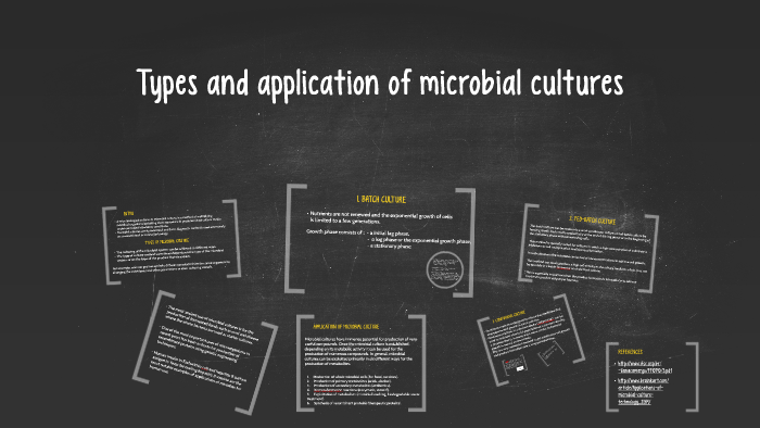 Types and application of microbial cultures by Amina Aleta on Prezi