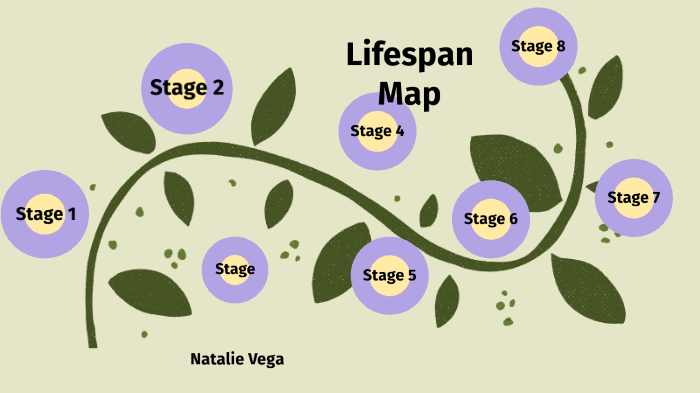 Lifespan Map by Natalie Vega on Prezi