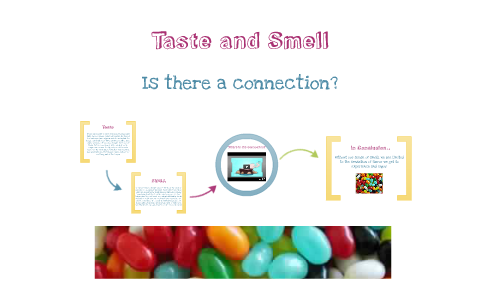 Taste and Smell: The Connection by Tiffany Goff