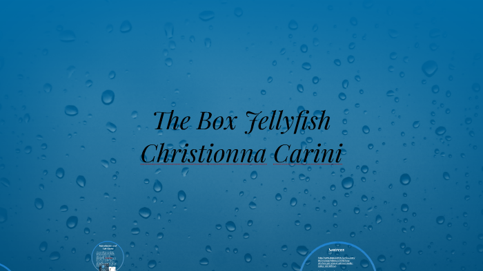The Box Jellyfish by Christionna Carini on Prezi
