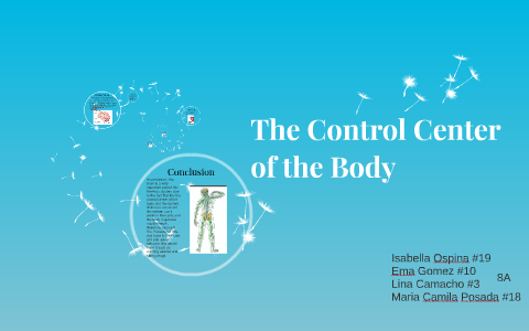 The Control Center of the Body by Isabella Ospina Saenz on Prezi