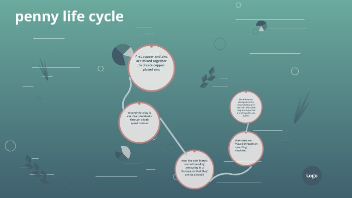 penny life cycle by matthew smith on Prezi