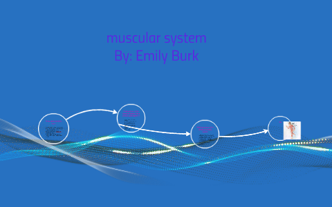 How does muscles work by emily burk on Prezi