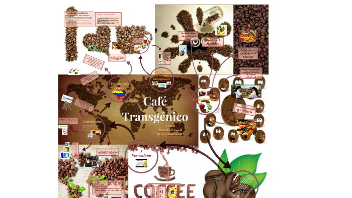 Café transgénico by Victoria Goicoechea on Prezi