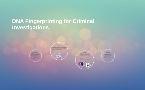 DNA Fingerprinting for Criminal Investigations by taylor johnson on Prezi