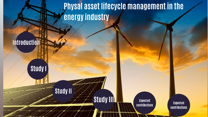 Physical asset lifecycle management in the energy industry by Olga ...