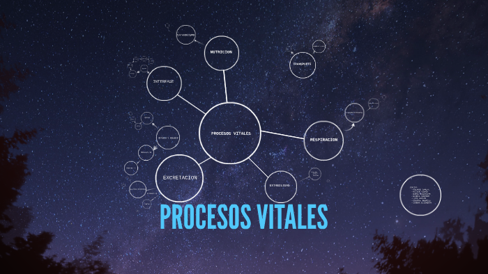 PROCESOS VITALES by Damian Valdez Perez on Prezi