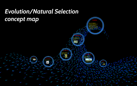 Evolution/Natural Selection concept map by Seth Mosley on Prezi