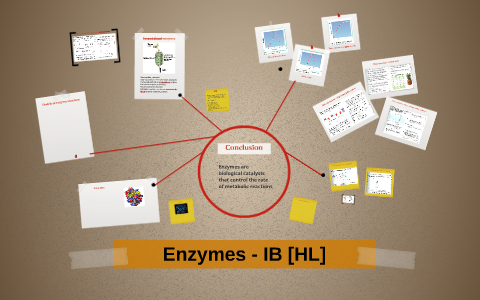 IB [HL] - Enzymes by Ganesh Balasubramanian on Prezi