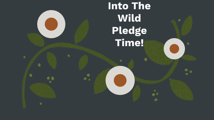 VBS Pledges by Caleb McClure on Prezi