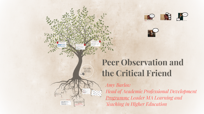 Peer Observation and the Critical Friend by Amy Barlow on Prezi