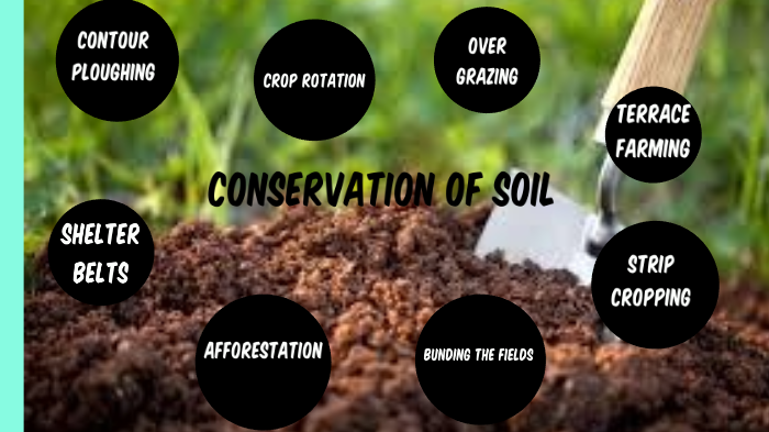Contour Bunding Soil Conservation