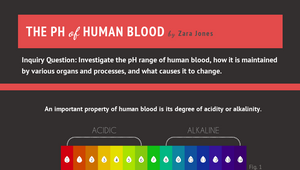The pH of Human Blood by zara jones on Prezi Design