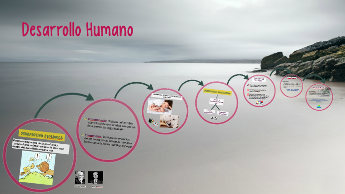 Desarrollo Humano by Oriana Rojas Cespedes on Prezi