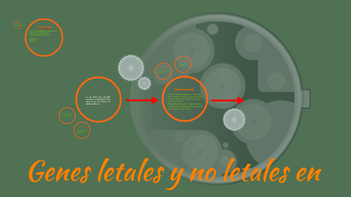 Genes letales y no letales en ovinos y capinos by Tino Madrigal on Prezi