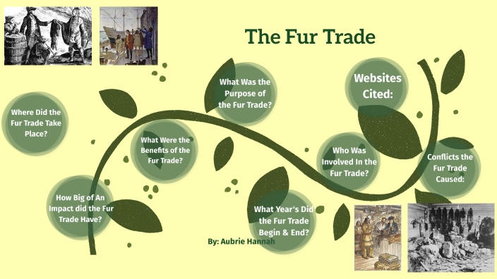The Fur Trade by Aubrie Hannah on Prezi